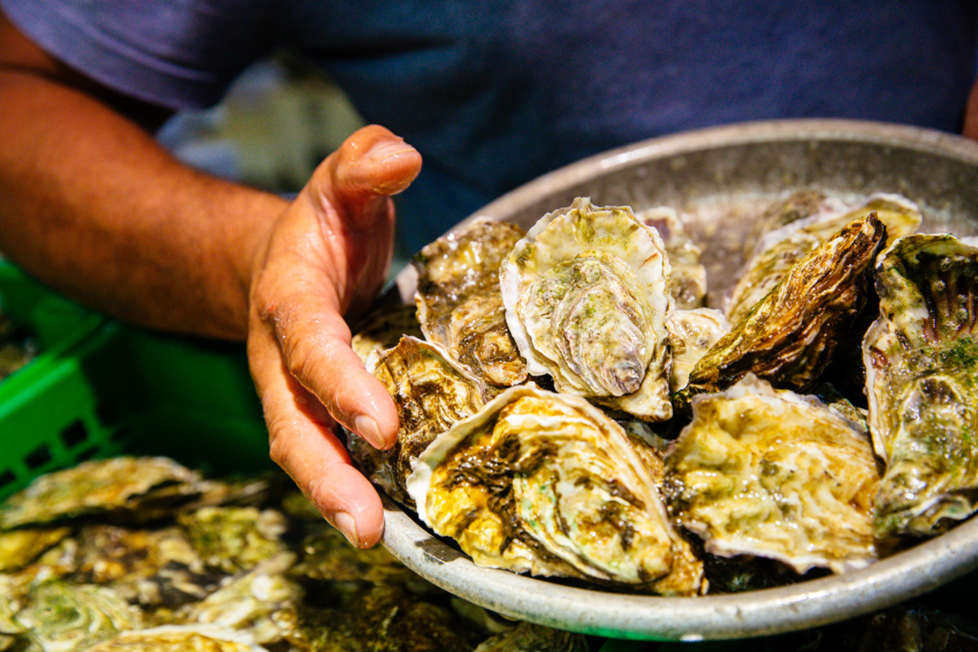 Tester une dégustation d’huîtres | Arcachon Office de Tourisme, des ...
