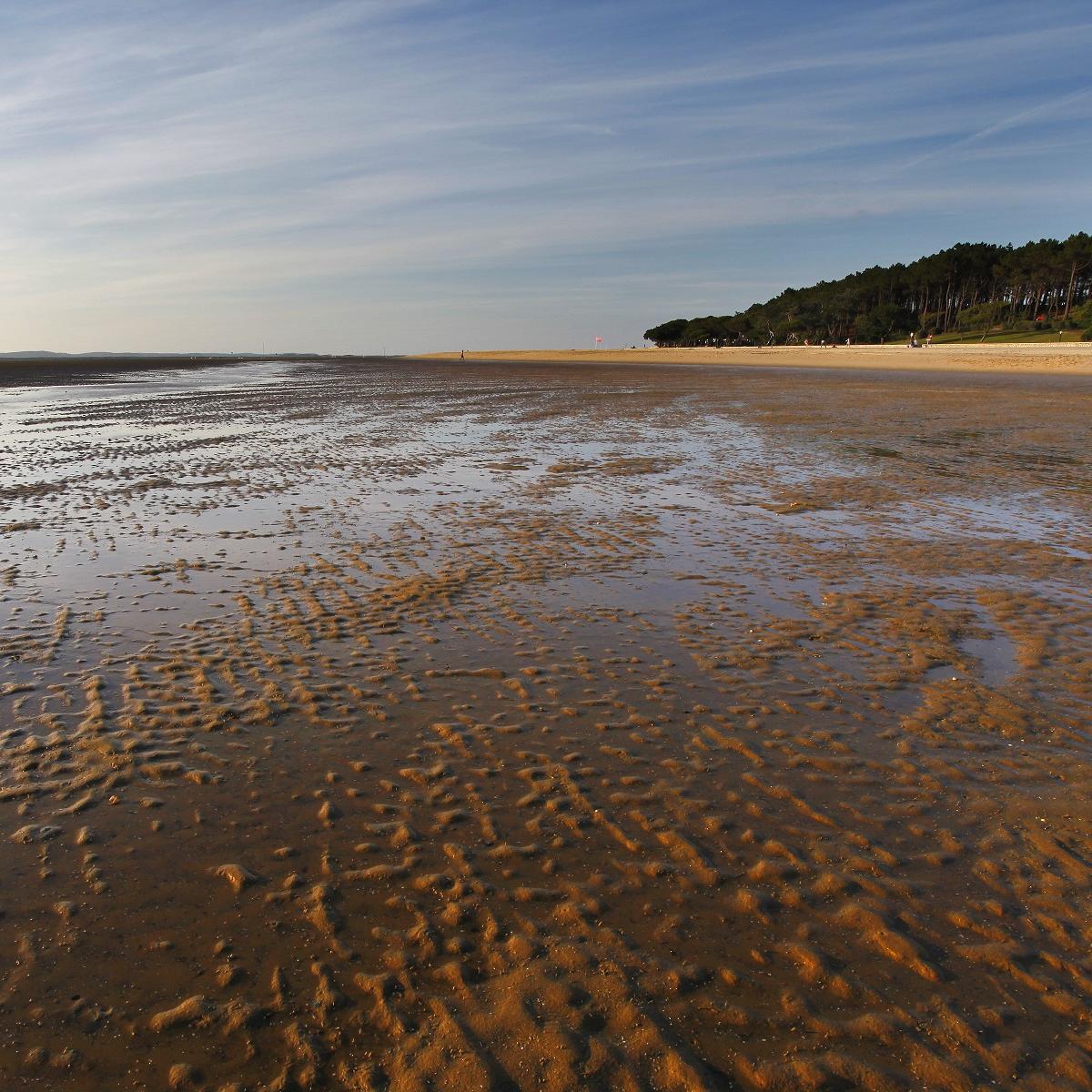 Tourism | Arcachon Destination
