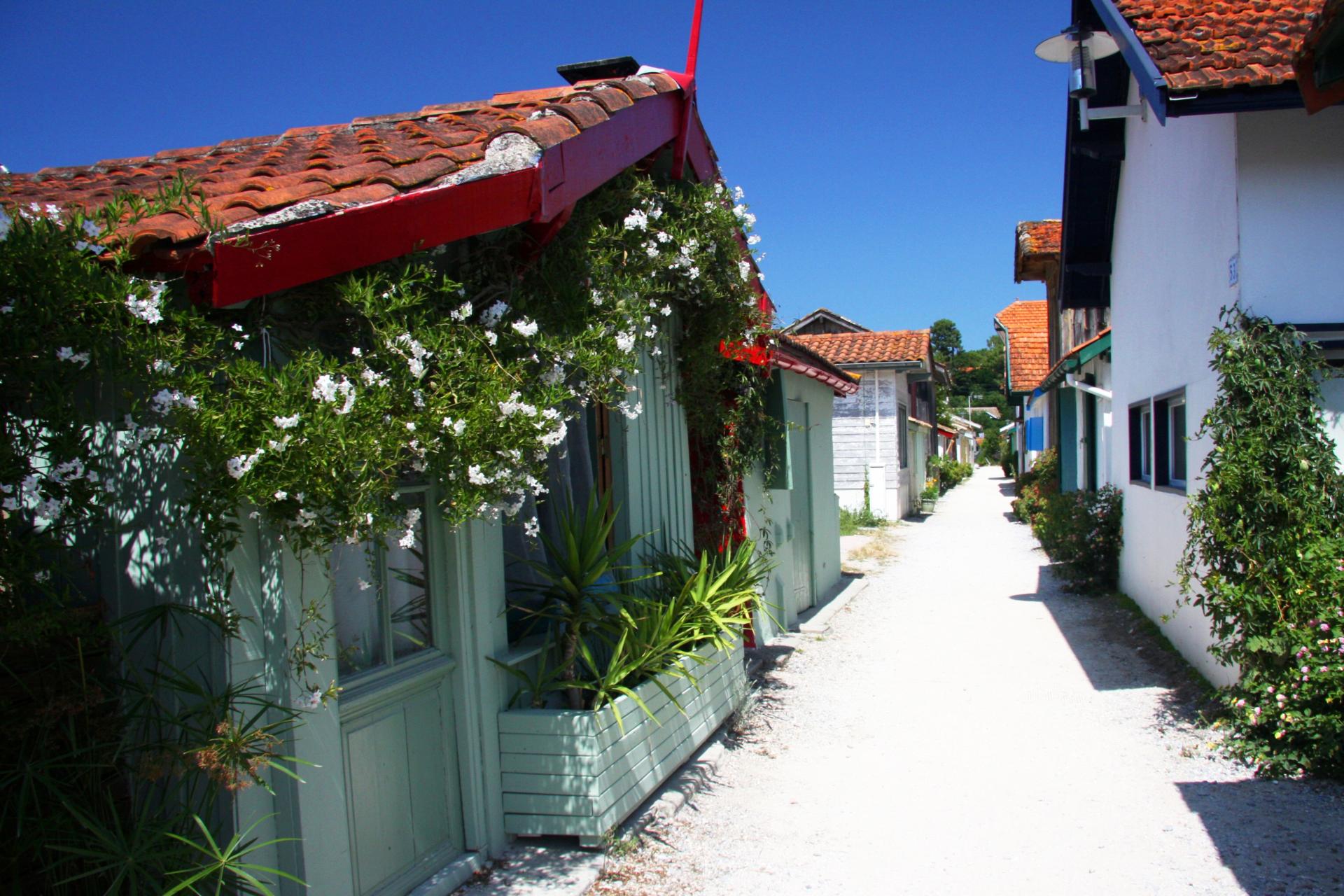 Cap Ferret | Arcachon Office de Tourisme, des Congrès, de la Culture et ...