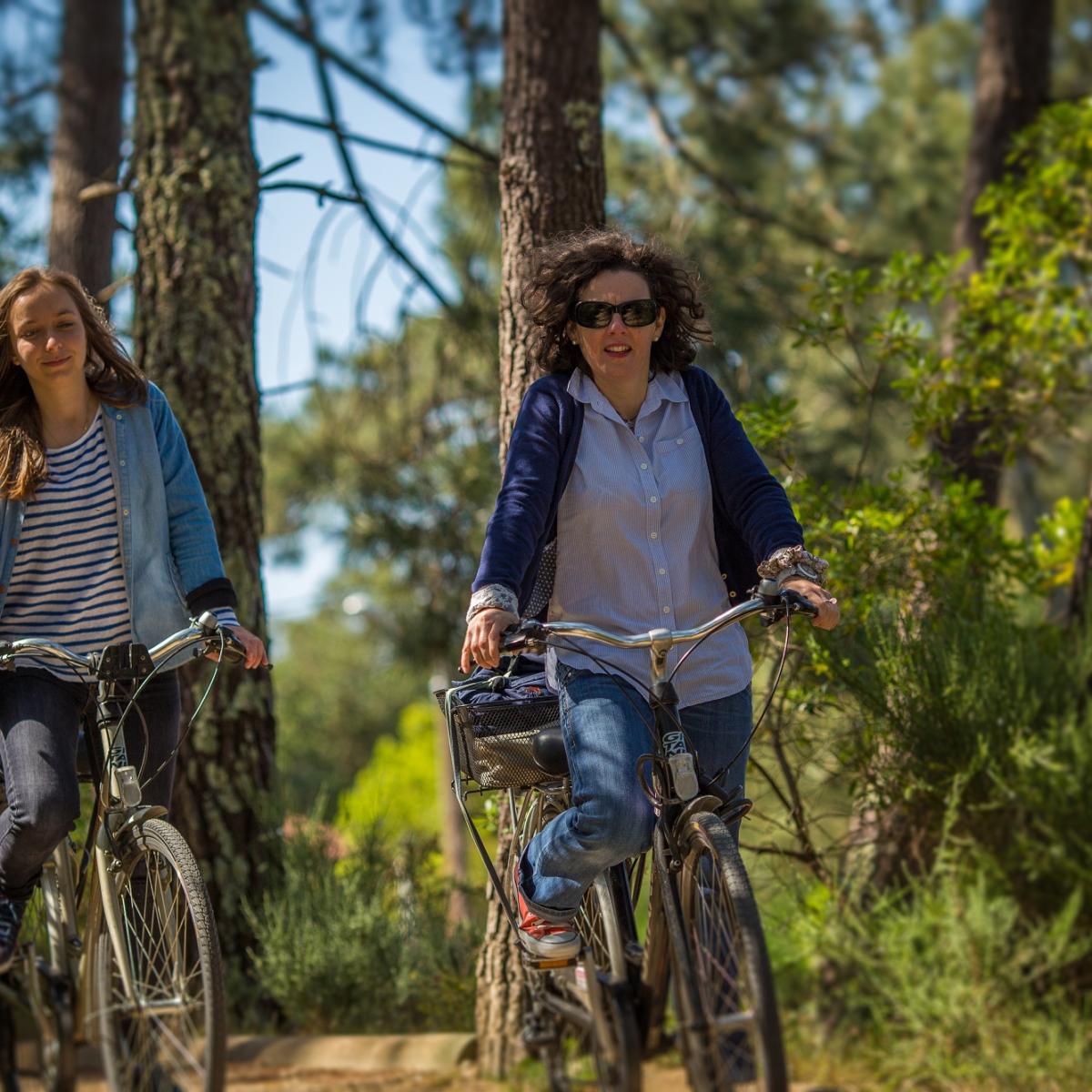 Fleur des pins (Arcachon) | Destination Arcachon