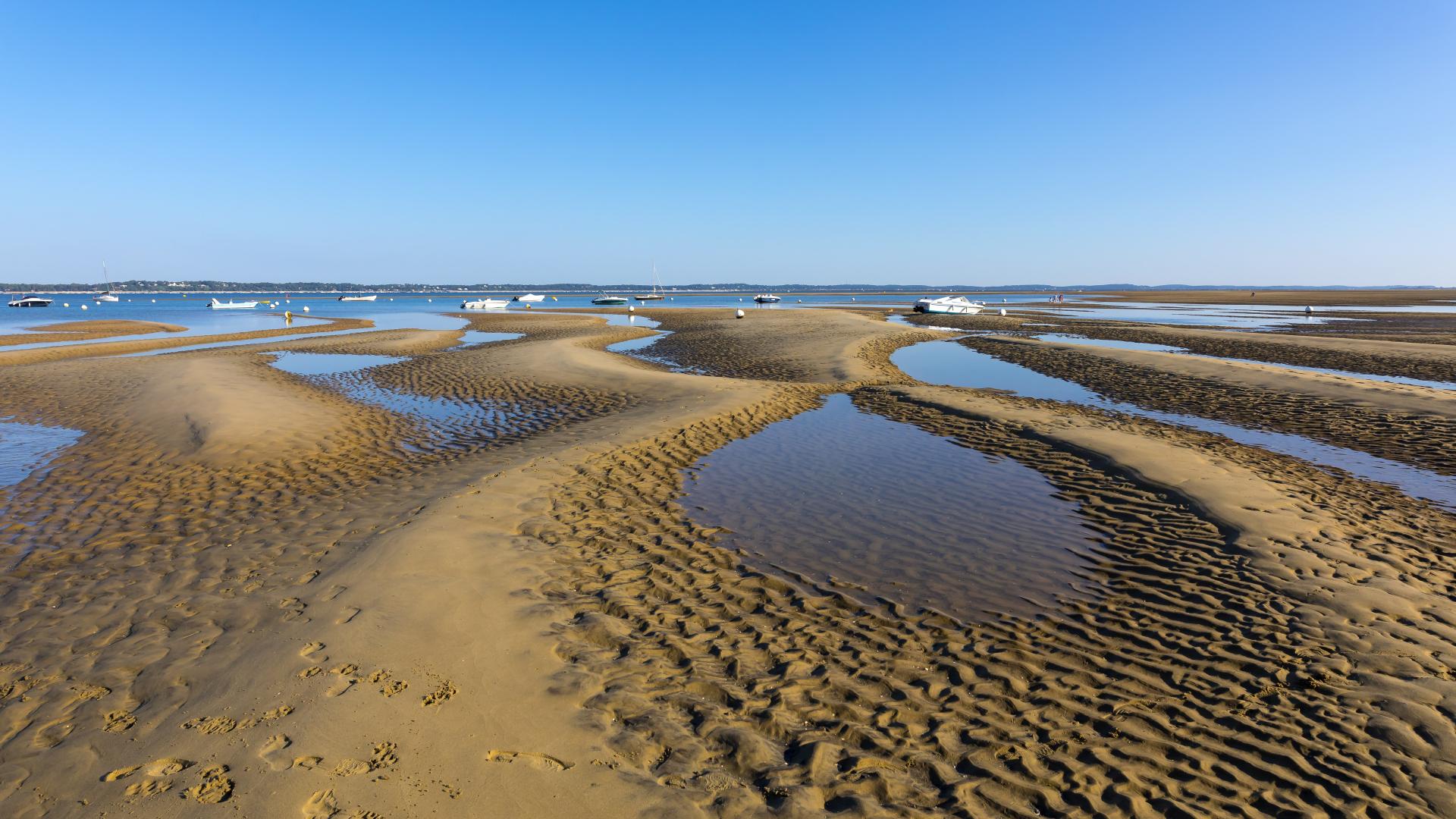 The guarantee of our experience: our convention ambassadors | Arcachon ...