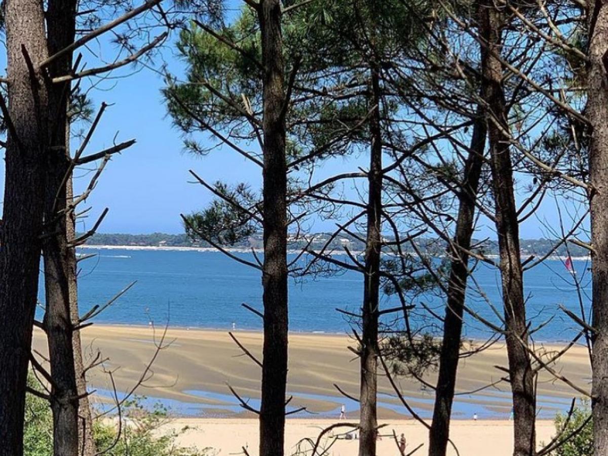 Photothèque | Destination Arcachon